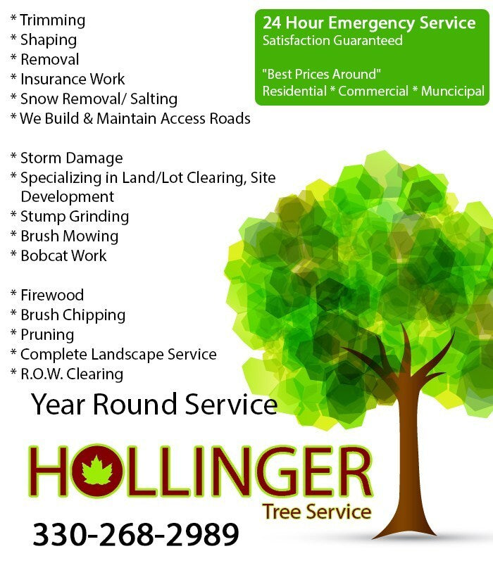 European Ace Tree Service – Satopics